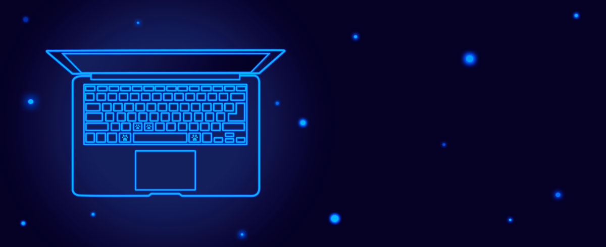 How To Copy And Paste On A Mac